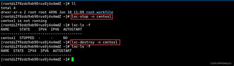 容器虚拟化基础之cgroups lxc lxc容器资源分配 csdn博客