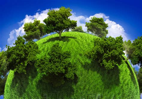 Clarity Ai Gist Impact And Sandp Launch Biodiversity Tools For Investors