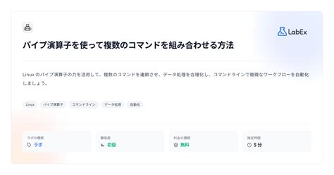 パイプ演算子を使って複数のコマンドを組み合わせる方法 Labex