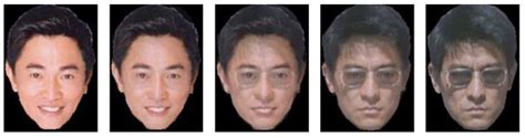 A study on face morphing algorithms face morphing python CSDN博客