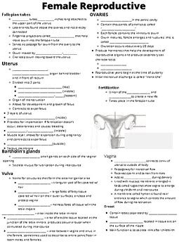 Reproductive Notes By Tabitha Smith TPT