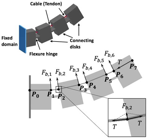 A Compliant Mechanism Actuated By A Single Tendon A Schematic Diagram Download Scientific