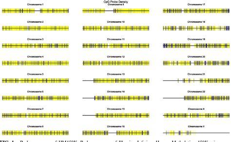 Figure 1 From Measuring Dna Copy Number Variation Using High Density Methylation Microarrays