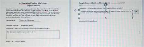 AQbsenxing Protists Worksheet Algae Pictures Ingert Chegg Com