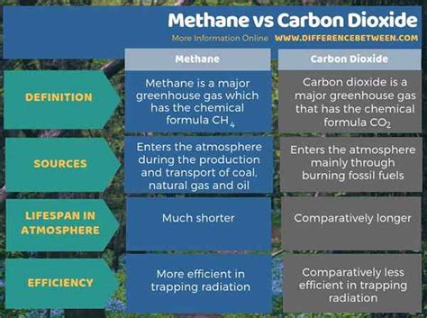Diferencia entre metano y dióxido de carbono Prodiffs