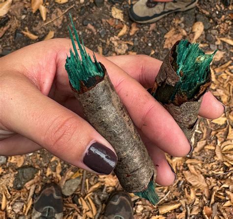 people found these 14 weird and confusing objects asviral