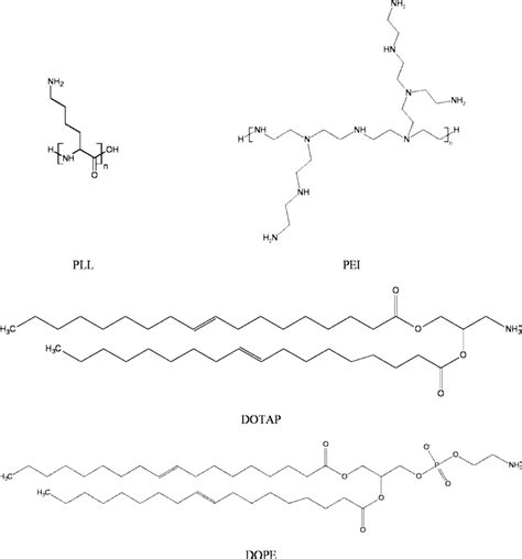 Structures Of Common Polymers And Lipids Used As Nonviral Gene Vectors Download Scientific