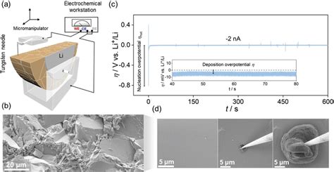 A Experimental Set‐up Used For In‐situ Sem‐electrochemical Download Scientific Diagram