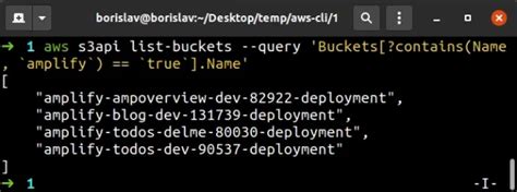 query contains examples with aws cli bobbyhadz
