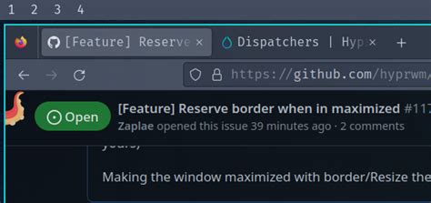 [feature] reserve border when in maximized · issue 1177 · hyprwm