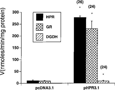 Primary Hyperoxaluria Type 2 Semantic Scholar