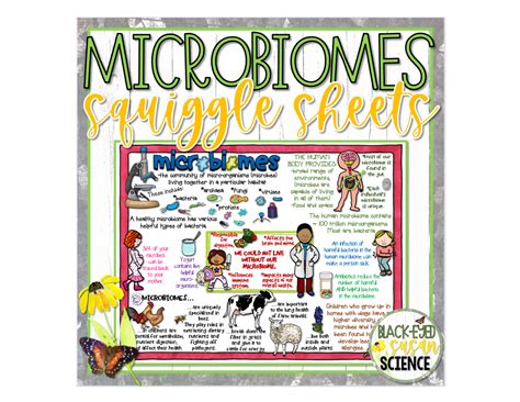 Microbiomes Doodle Notes Quiz 1 Terms Of Use Thank You For Your Support And Interest In Black