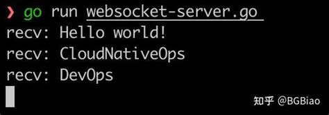 初识 Websocket 以及 Golang 实现 知乎