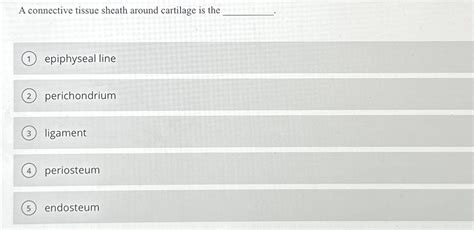Solved A Connective Tissue Sheath Around Cartilage Is