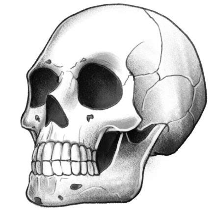 Skull Drawing Guide In Easy Steps Video Images