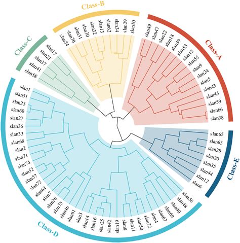 Matlab 超多样式聚类分析树状图任你选择~~matlab聚类效果图 Csdn博客