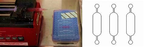 Simulating Cancer Cell Migration In Microgravity With Comsol® Comsol Blog