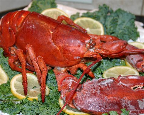 Lobster Chatty Gourmet