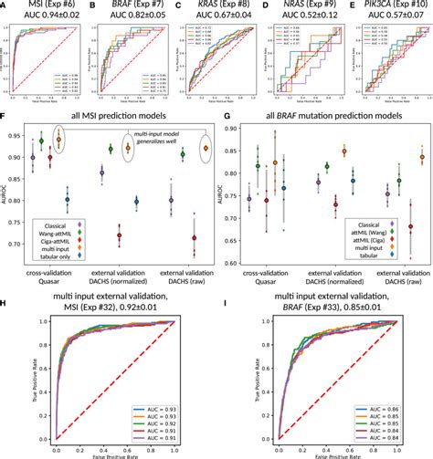 Generalizable Biomarker Prediction From Cancer Pathology Slides With