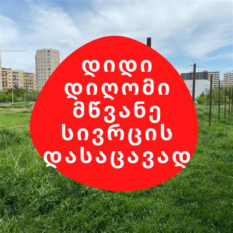 დიდი დიღმის მწვანე სივრცის დასაცავად Save The Park In Didi Dighomi