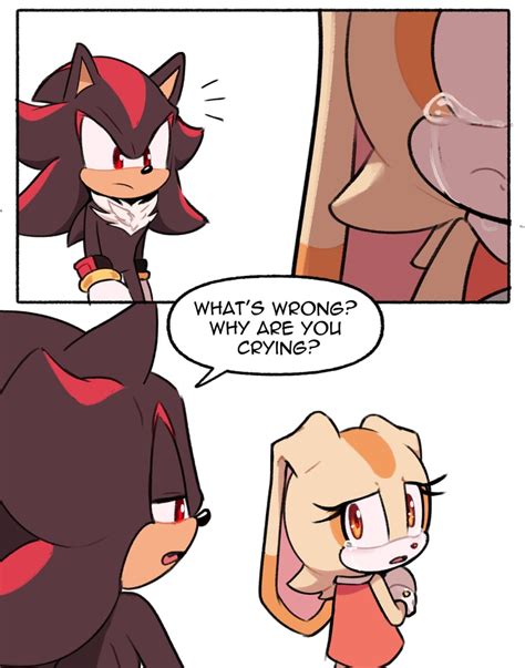 Shadow The Hedgehog And Cream The Rabbit Sonic Drawn By Toonsite Danbooru