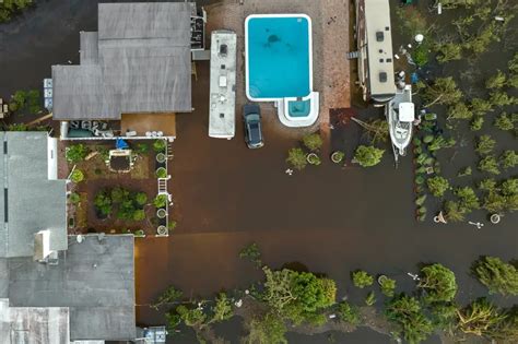 Role Of Trees In Stormwater Management Tree Doctors Inc