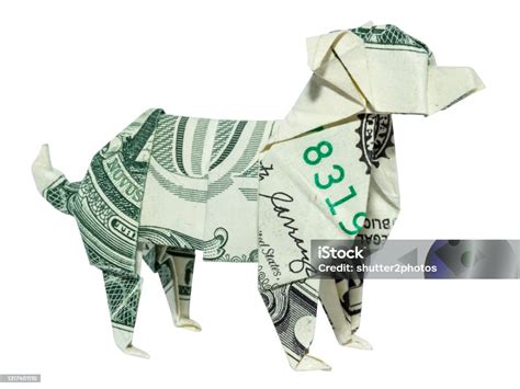 돈 종이 접기 호주 셰퍼드 개는 흰색 배경에 고립 된 실제 1 달러 지폐로 접혀 종이접기에 대한 스톡 사진 및 기타 이미지 종이접기 지폐 통화 0명 Istock