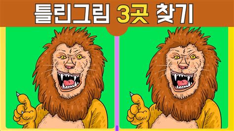 치매예방 프로젝트 웃기는 사자 틀린그림찾기 Find The 3 Differences 두뇌운동 집중력 기억력 다른