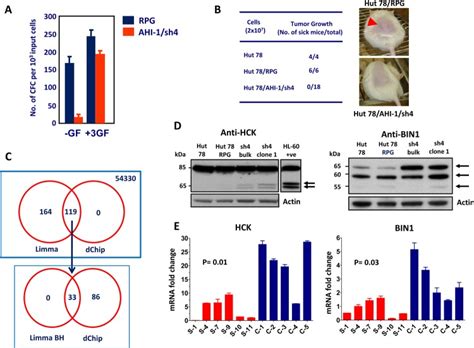 A The Number Of CFCs Able To Make Colonies In The Absence Of Any Download Scientific Diagram