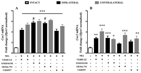 Molecular Understanding Of The Activation Of Cb1 And Blockade Of Trpv1 Receptors Implications