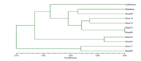 Dendrogram Generated Based On Upgma Clustering Method And Jacquards