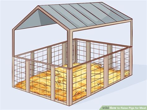 How to Raise Pigs for Meat (with Pictures) - wikiHow Pet