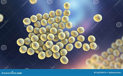 Bacteria Methicillin Resistant Staphylococcus Aureus Mrsa Royalty Free Cartoon Cartoondealer