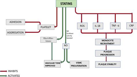 Pleotropic Effects Of Statins The Dilemma Of Wider Utilization Of Statin Pmc