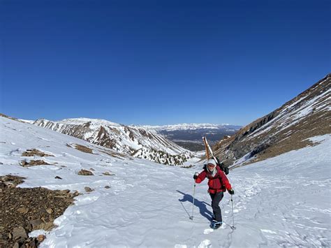 Yosemite Toad Demography Connor M Wood