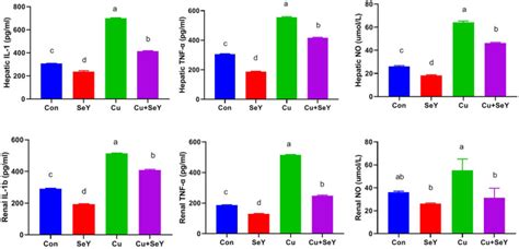 Selenium Enriched Yeast Modulates The Metal Bioaccumulation Oxidant