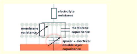 Equivalent Circuit Of The Membrane And The Sensor Surface Download