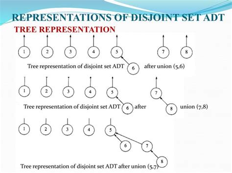 Lecture 6 Disjoint Set PPTX