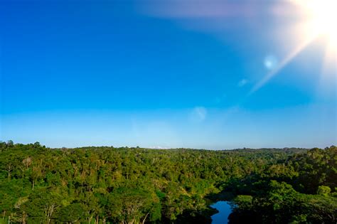 언덕과 푸른 하늘을 배경으로 숲의 전망 하늘 맑은 구름에 태양 빛 땅에 녹색 숲과 강 삶의 상쾌공원에 아름다운 풍경 0명에 대한 스톡 사진 및 기타 이미지 Istock