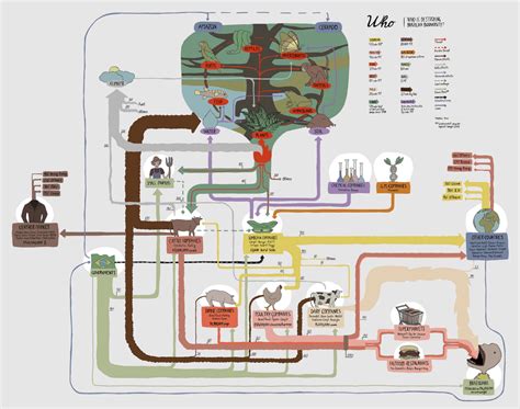sankey diagram data viz project