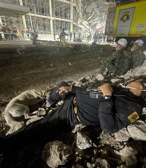 မီးအိမ်ရှင် မီးအိမ်ရှင် တိရစ္ဆာန်ဆေးကုခန်း