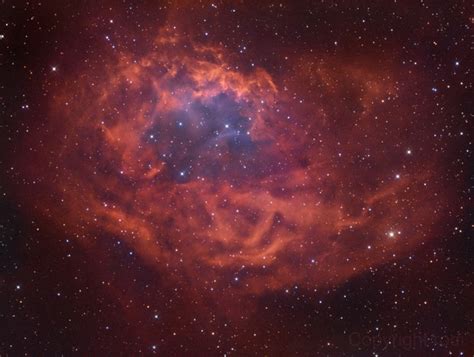 Sh2 261 Lowers Nebula Lbn862 Rolf Dietrich Astrobin