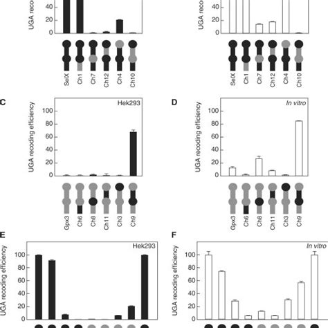Secis Elements From Human Selenoproteome A Schematic Of Eukaryotic Download Scientific