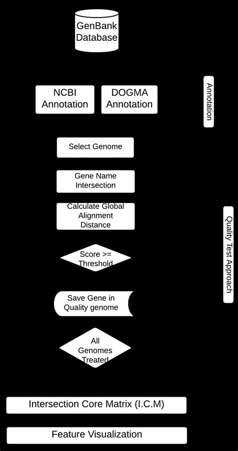 An Overview Of The Pipeline Download Scientific Diagram