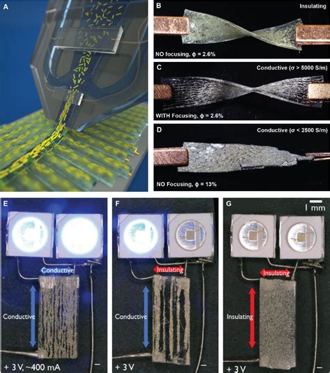 Figure 1 From Recent Progress In Acoustic Field Assisted 3d Printing Of