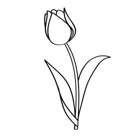 Free Tulip Black And White Clipart Free Download