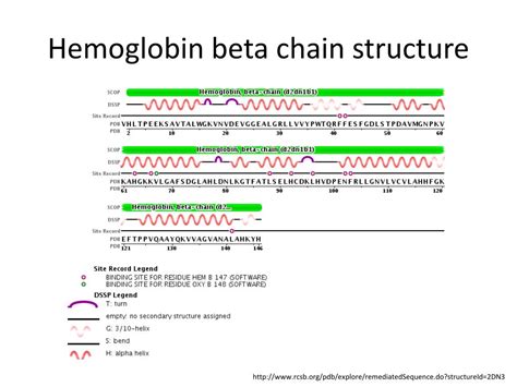 Ppt Biochemistry Teachable Unit Powerpoint Presentation Free