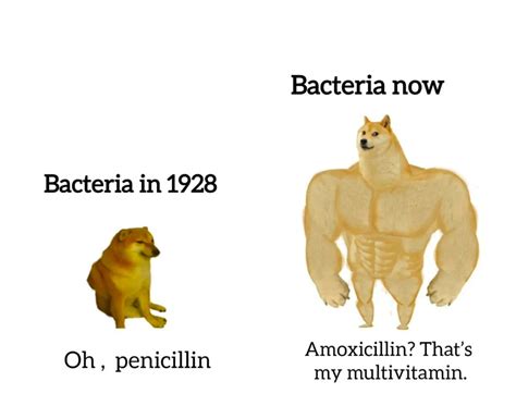 Eclipse Classes 💖💖 Neetpreparation Neet2018