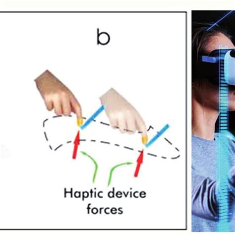 A Haptic Perception In Everyday Environments B In Contrast Haptic