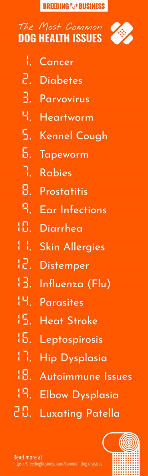20 Most Common Dog Diseases W Explanations And Symptoms